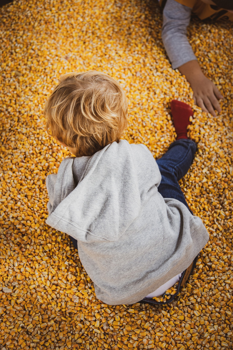 Pura Vida Farm e il Villaggio delle Uova presentano alla scoperta delle ...